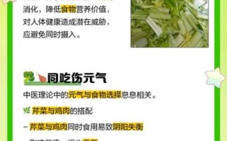 芹菜和鸡肉能一起吃吗_会不会相克