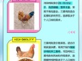 河田鸡的营养价值_河田鸡的功效与作用
