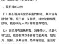 酸石榴怎么吃_酸石榴的功效与作用