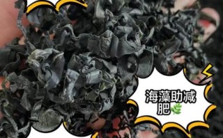 海藻菜的功效与作用_怎么吃最健康