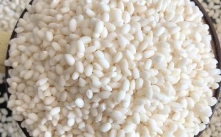 圆江米是什么米_圆江米和糯米一样吗