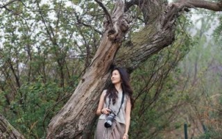 橄榄树歌词含义_为什么流浪远方