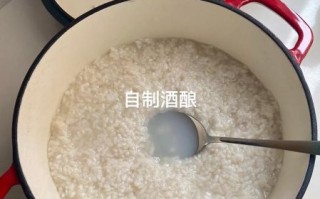 酒酿的做法大全_家庭自制酒酿失败原因