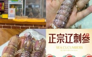 青龙虾怎么挑选_青龙虾价格多少钱一斤