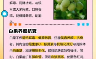 白果怎么吃最好_白果的功效与作用禁忌