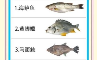 海货大全图片有哪些种类_如何辨别新鲜海货