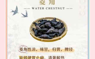 菱角怎么吃_菱角怎么破开壳