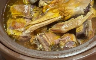 炖鸭汤的做法大全_老鸭汤怎么炖好喝不腥