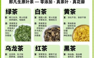 绿茶有什么功效_长期喝绿茶的好处