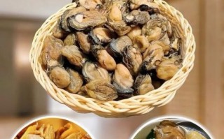 牡蛎干怎么泡发_牡蛎干的做法大全