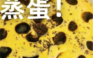 黑松露怎么吃_黑松露十种吃法