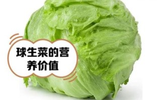 球生菜怎么炒好吃_球生菜凉拌做法