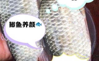 女人经常吃鲫鱼的好处和坏处_长期吃鲫鱼会发胖吗