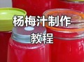 杨梅汁怎么做_杨梅汁怎么保存不变色