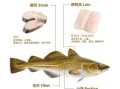 鳕鱼是深海鱼吗_鳕鱼生活水深多少米