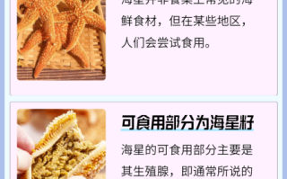 海星怎么吃_海星可以清蒸吗 海星怎么吃_海星可以清蒸吗