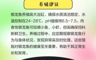 银鱼多少钱一斤_银鱼价格行情