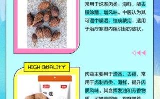 草豆蔻与肉豆蔻的区别_哪个更适合炖肉