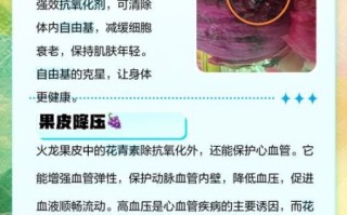火龙果皮煮水喝有什么功效_火龙果皮煮水可以天天喝吗