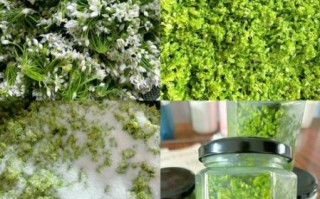 韭菜花怎么做_韭菜花腌制方法