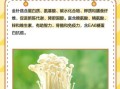 金针菇栽培技术要点_金针菇怎么种