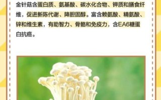 金针菇栽培技术要点_金针菇怎么种