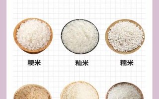 粳米和大米哪个好_粳米和大米的区别