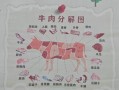 牛身上部位图怎么看_牛肉分割图解