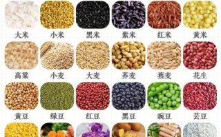 五谷是哪五种粮食_五谷具体指什么