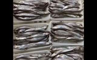 冷冻多春鱼不用去内脏_冷冻多春鱼怎么清洗