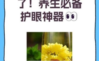 贡菊的功效与作用禁忌_贡菊泡水喝的注意事项