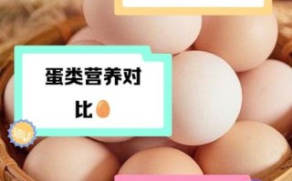 鹌鹑蛋和鸡蛋哪个更好_鹌鹑蛋和鸡蛋营养对比