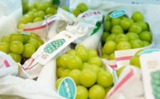 丹东特产零食有哪些_丹东零食哪里买正宗