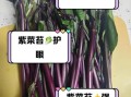 紫菜苔怎么做好吃_紫菜苔的营养价值