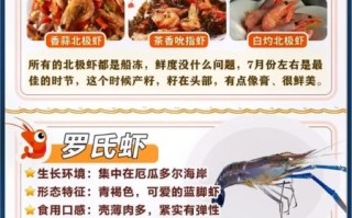 虾米解说大全在哪看_虾米解说怎么下载