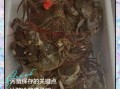 活螃蟹怎么保存过夜_活螃蟹第二天还能吃吗