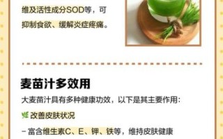 小麦苗汁的功效与作用_每天喝多少才有效