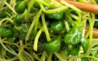 豌豆苗怎么炒好吃_豌豆苗的做法大全家常