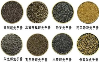 鱼子酱是什么做的_鱼子酱原料有哪些