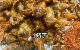 知了猴怎么保存_知了猴的做法大全家常