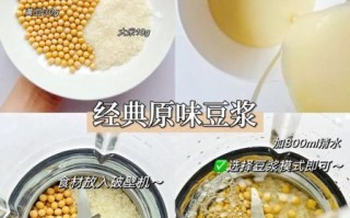 营养米糊食谱大全豆浆机_豆浆机米糊怎么做
