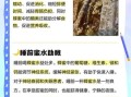 喝蜂蜜水的最佳时间是什么时候_早上空腹喝蜂蜜水好吗
