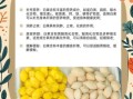 白果不能和什么一起吃_白果禁忌食物有哪些