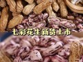七彩花生是什么_七彩花生和普通花生区别