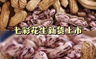 七彩花生是什么_七彩花生和普通花生区别