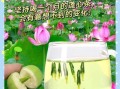 莲子心泡水喝的最佳搭配_莲子心和什么一起泡最好