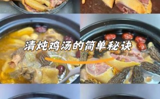 清炖鸡汤怎么炖好喝又营养窍门_清炖鸡汤用什么鸡最好