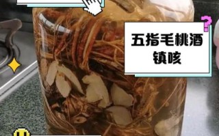 五指毛桃可以天天泡水喝吗_长期饮用的副作用