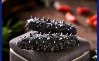 烟台海参哪家好_烟台十大名牌海参排行