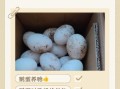 吃鹅蛋有什么好处和功效_孕妇能吃鹅蛋去胎毒吗